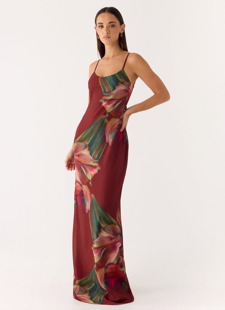 Amabella Maxi Dress - Cuba Cuba – Peppermayo US